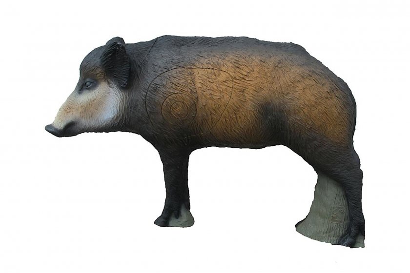 3D Archery Target SRT Targets Boar | Balistas.com