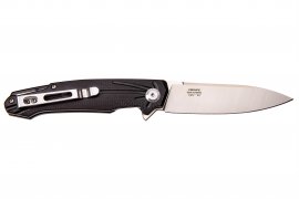 Closing knife Ganzo Firebird FH21-BK | Balistas.com