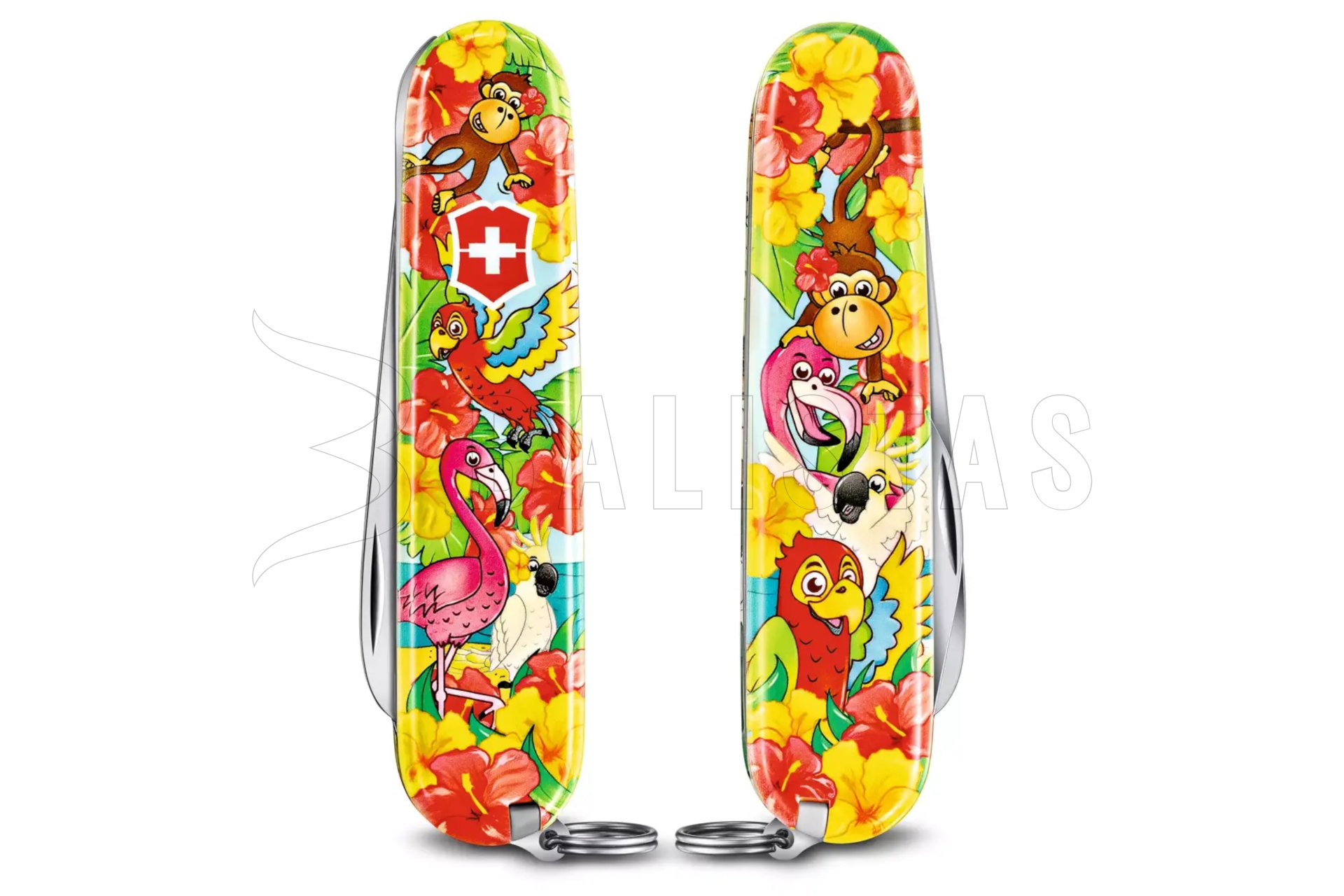 My First Victorinox - Parrot Edition | Balistas.com