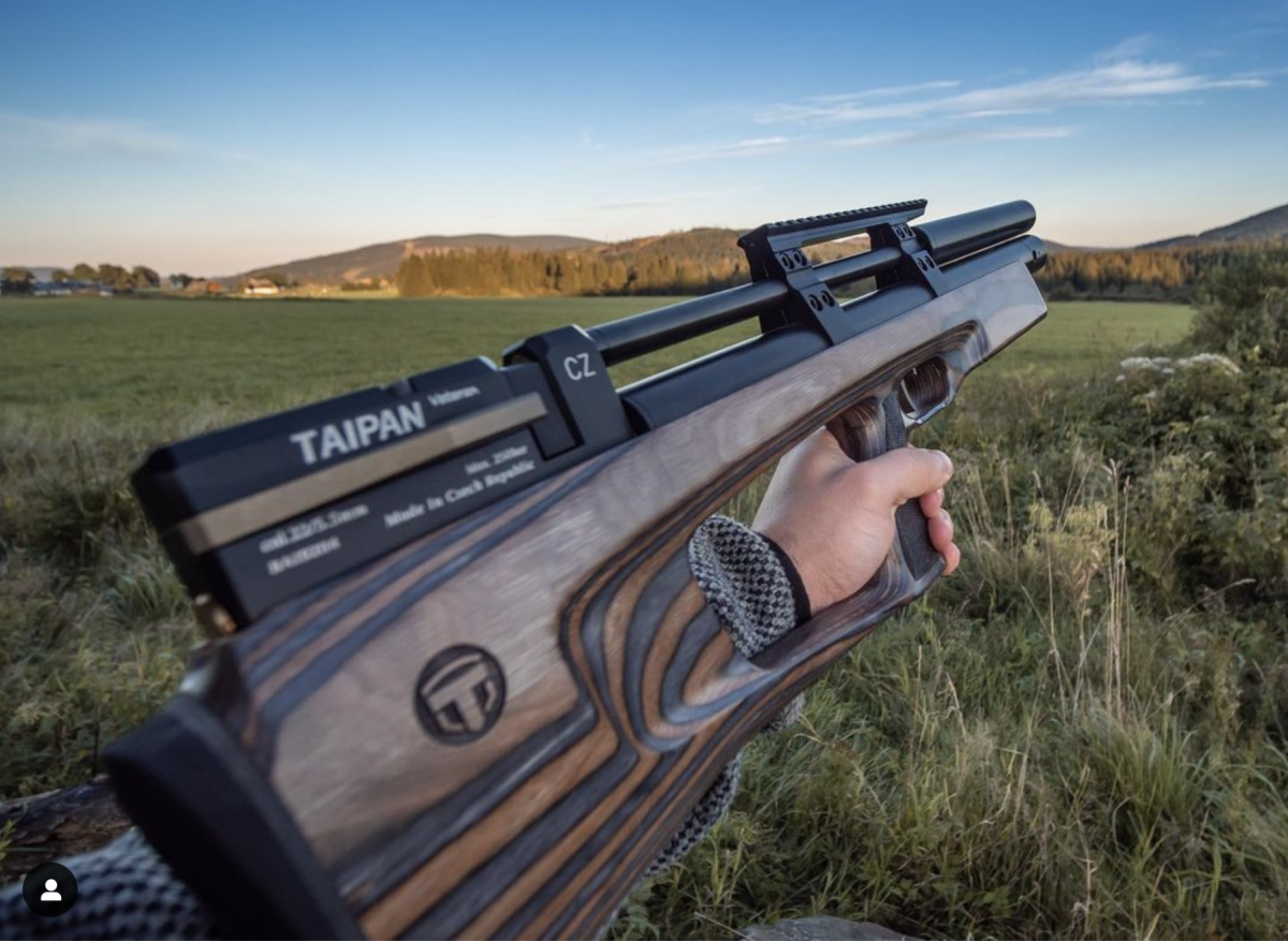Air rifle Taipan Veteran Standard 5,5mm Coffee | Balistas.com